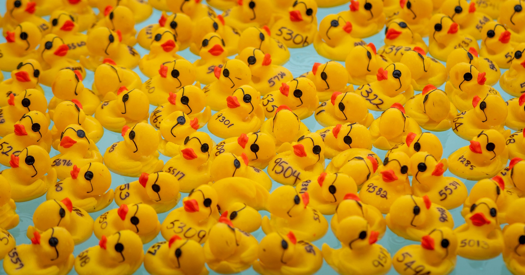 The Great Duck Pluck - River Fund